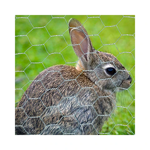Types Of Rabbit Fencing Keep Rabbits Out Of Yard Fence ABIEWXO